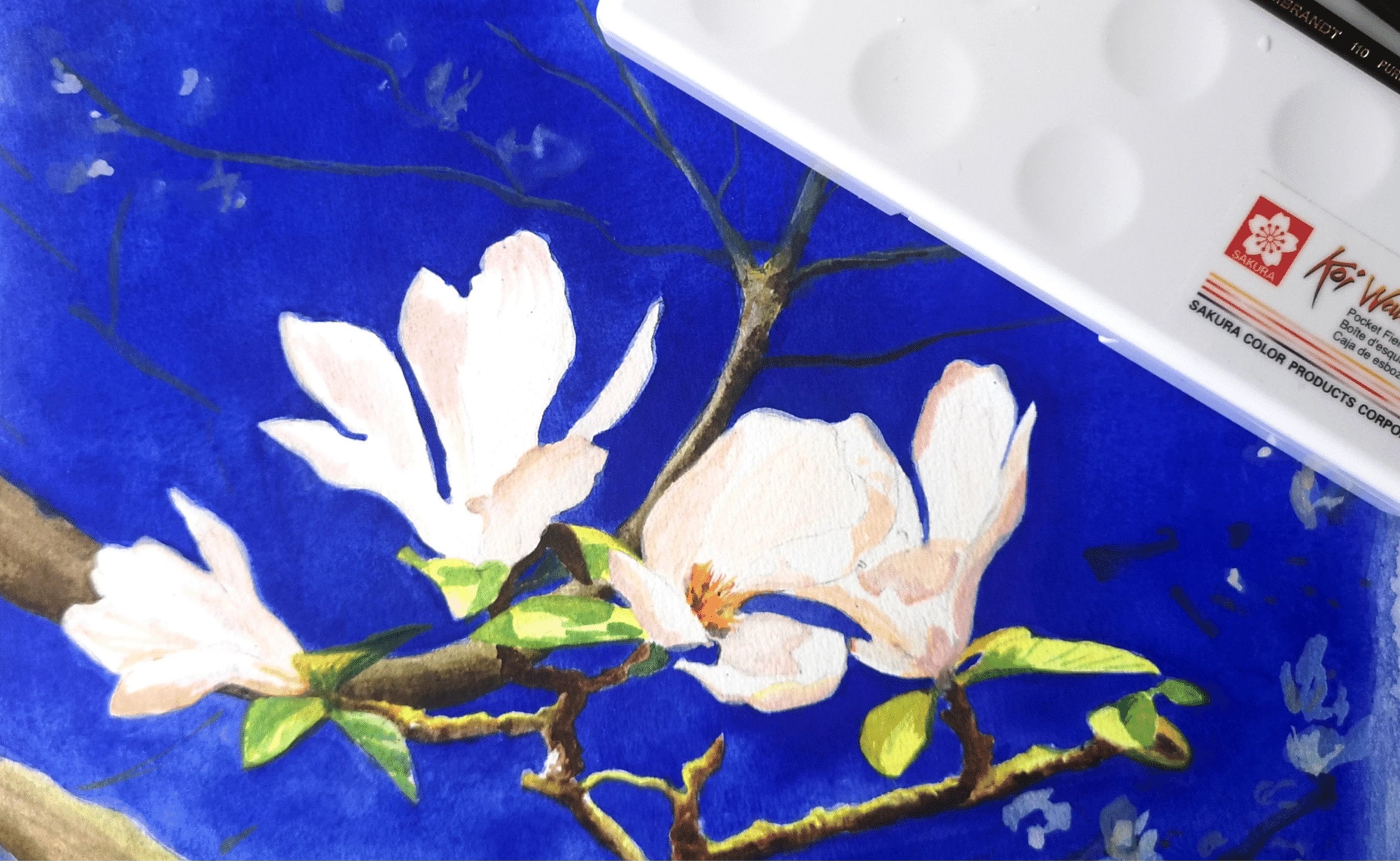 Painting Magnolias In Watercolour Step By Step Royal Talens