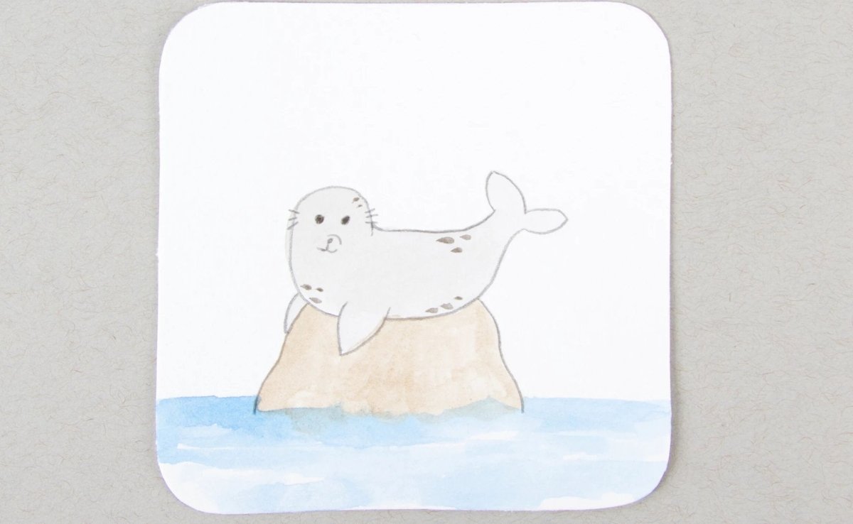 Drawing a seal | Step by step | Royal Talens