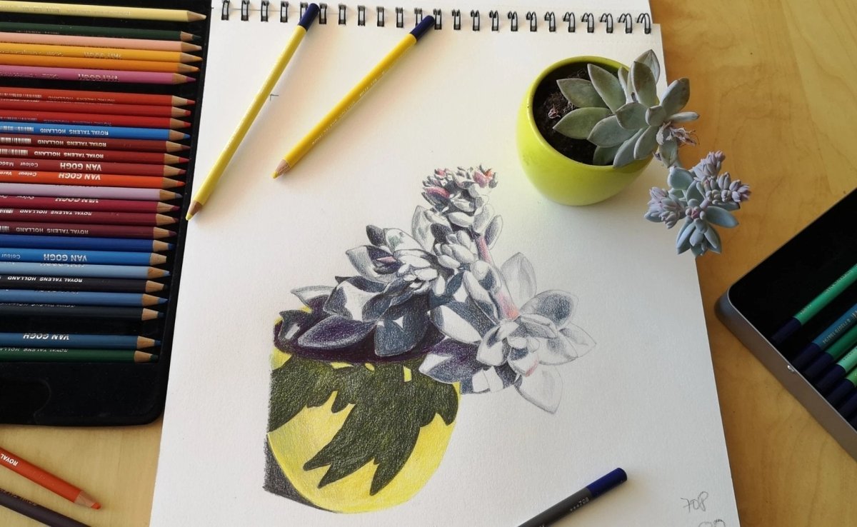 Drawing with shadows | Step by step | Royal Talens